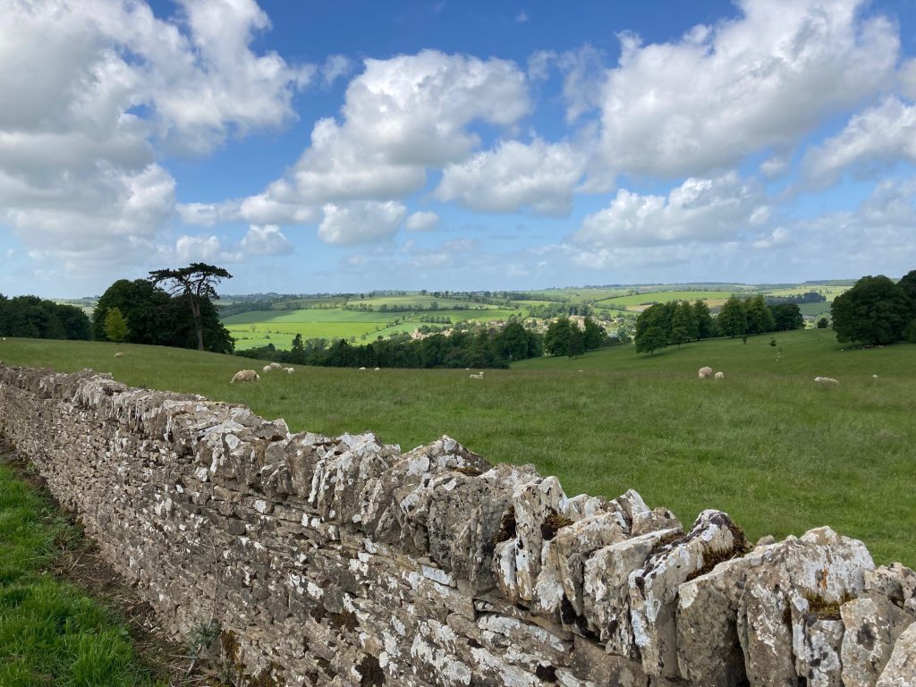 Focus on Dry Stone Walling | Winchcombe Reclamation Ltd